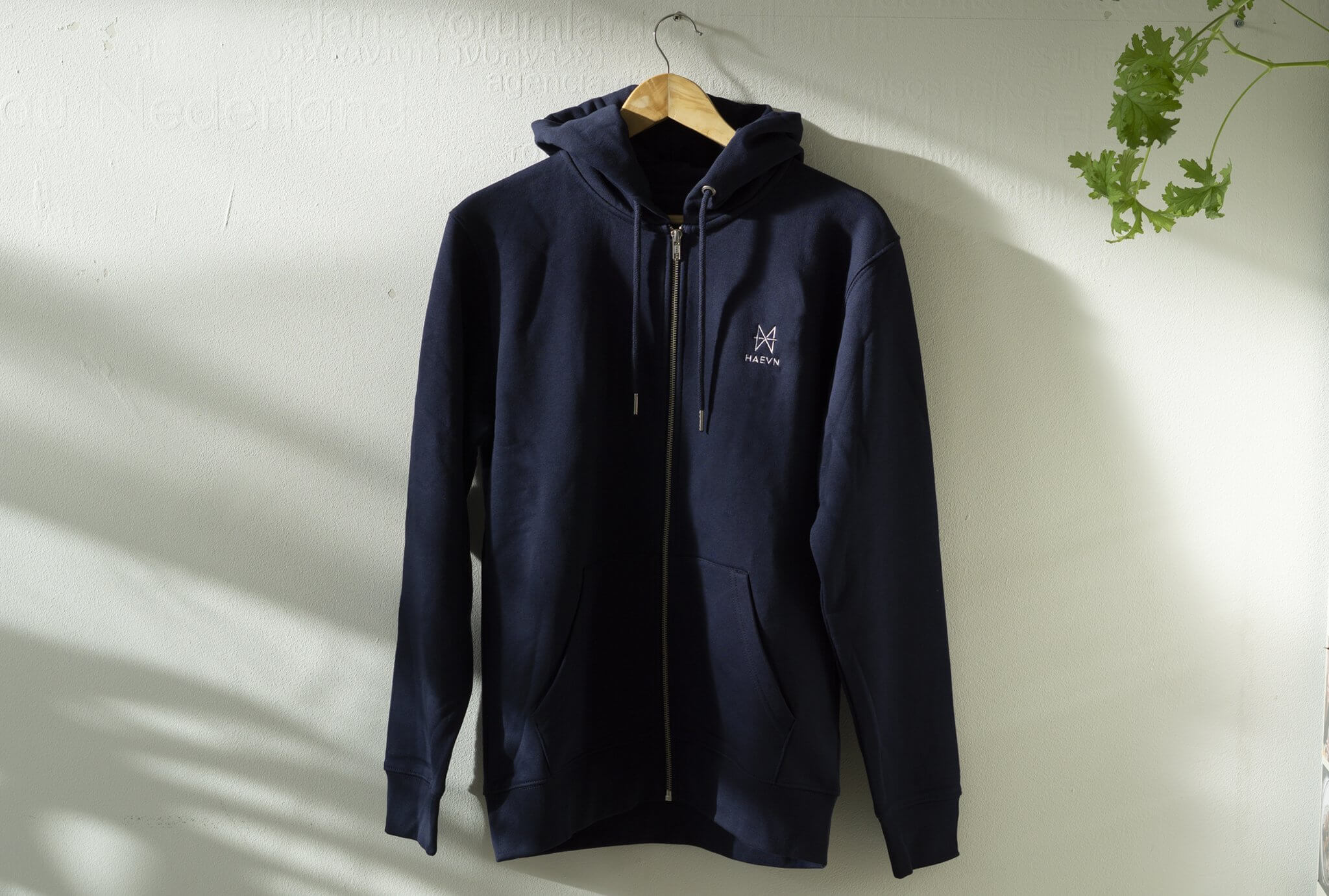 Cd Vinyl DVD - worldwide shipping - signed by HAEVN - Official store ...