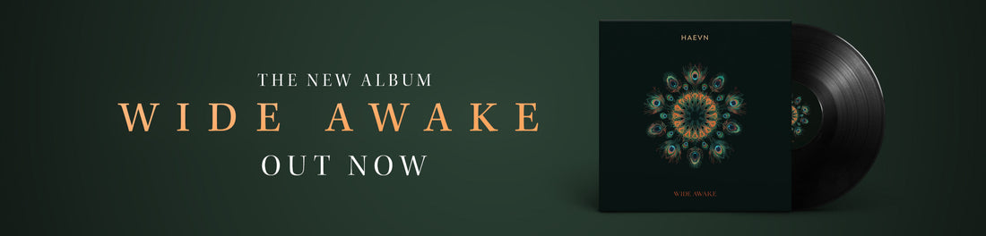 HAEVN Vinyls | CDs | DVD | Merch - worldwide shipping - Official store ...